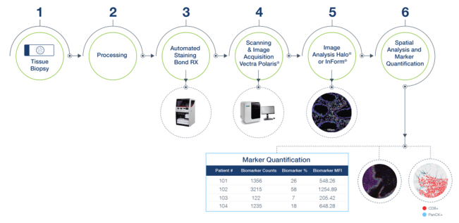 Precision for Medicine Selected as Akoya Biosciences Certified Partner